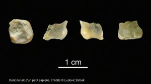 La Grotte Mandrin – MALATAVERNE